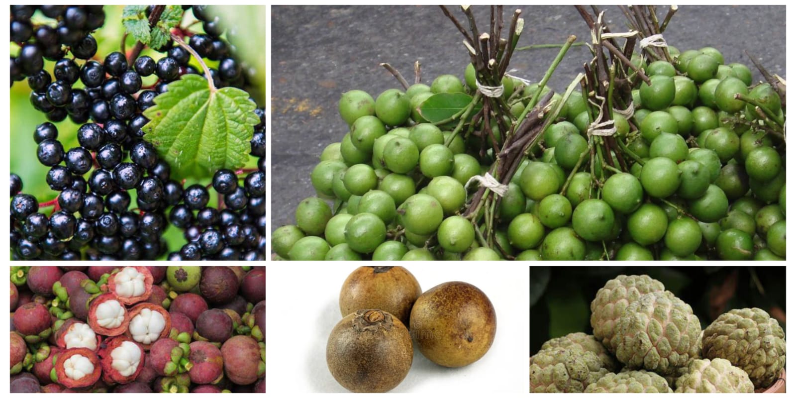 ¿Sabías que en Honduras existen estas 9 frutas exóticas?