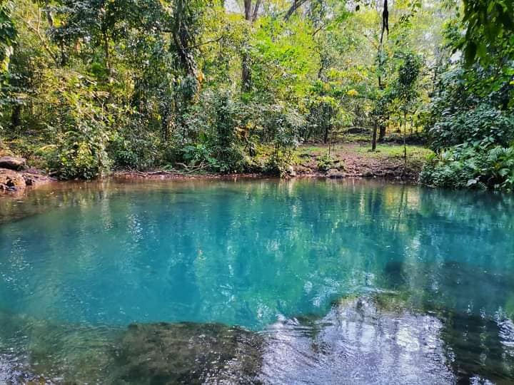 Poza Azul, un paraíso en las cercanías del Lago de Yojoa