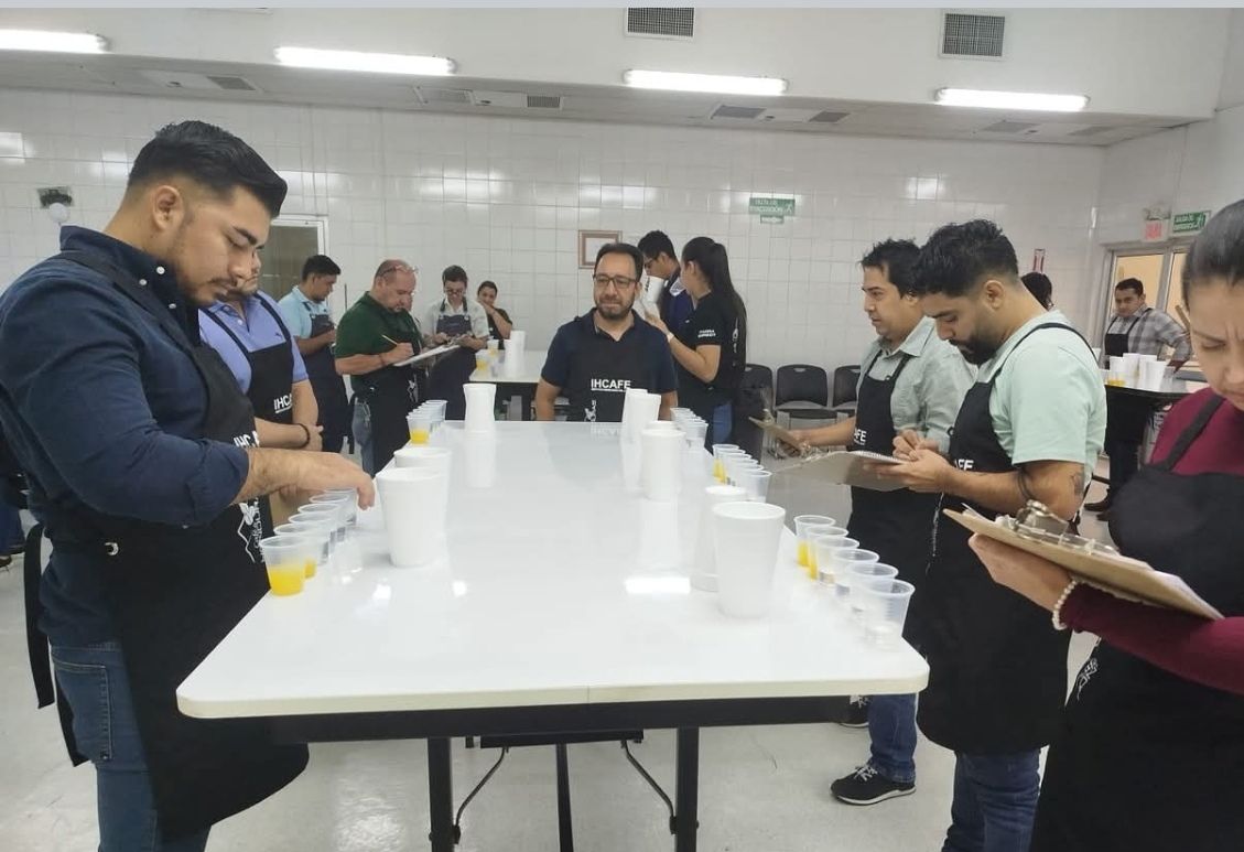 Catadores hondureños se certifican bajo estándares internacionales